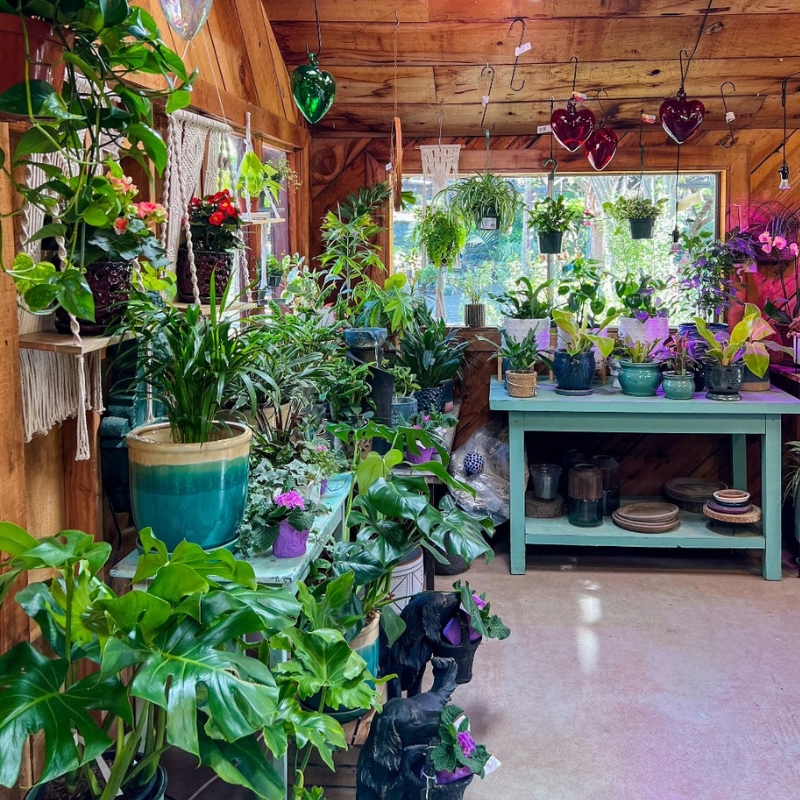 Nursery - Cambria Nursery and Florist