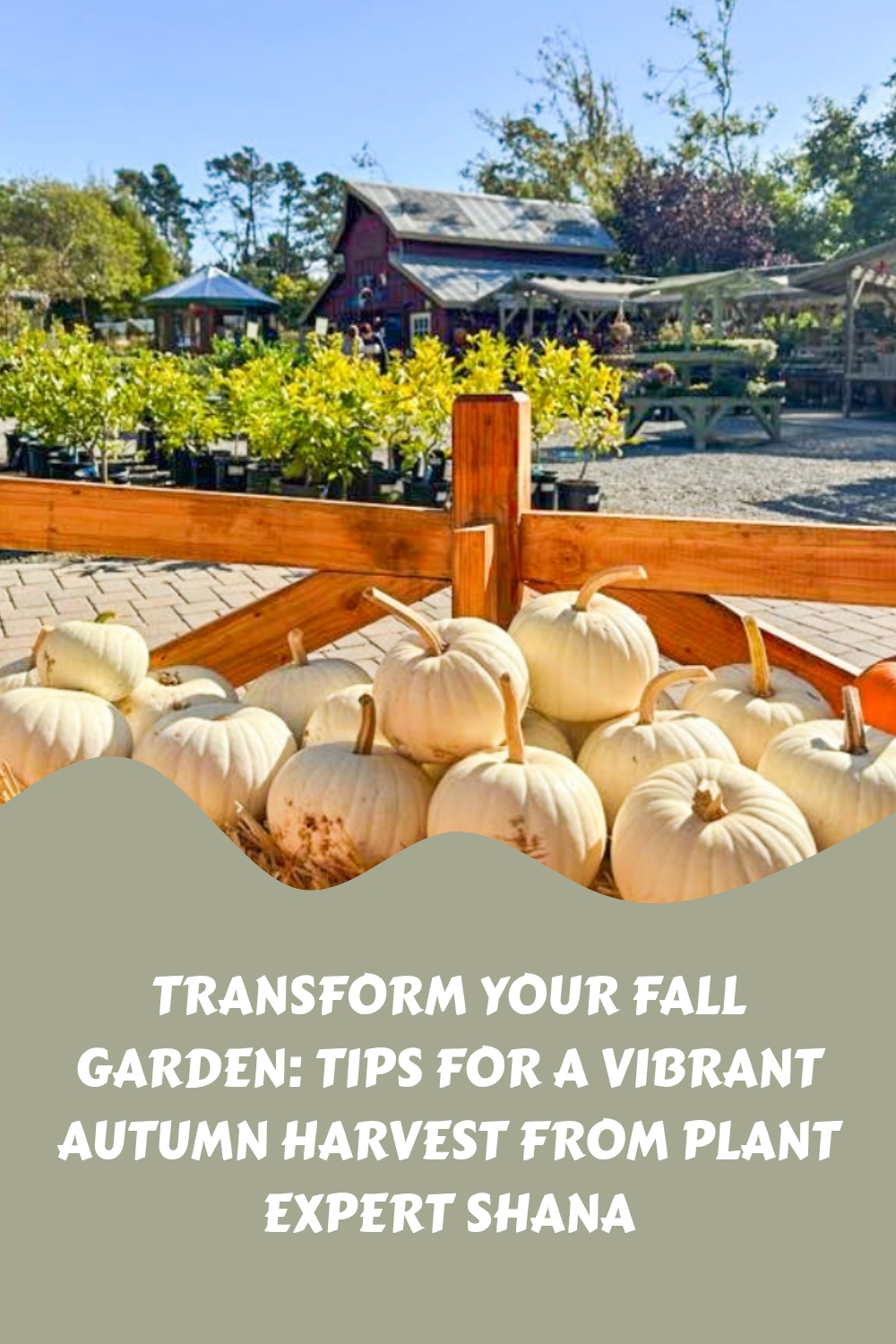 Transform Your Fall Garden: Tips for a Vibrant Autumn Harvest from ...